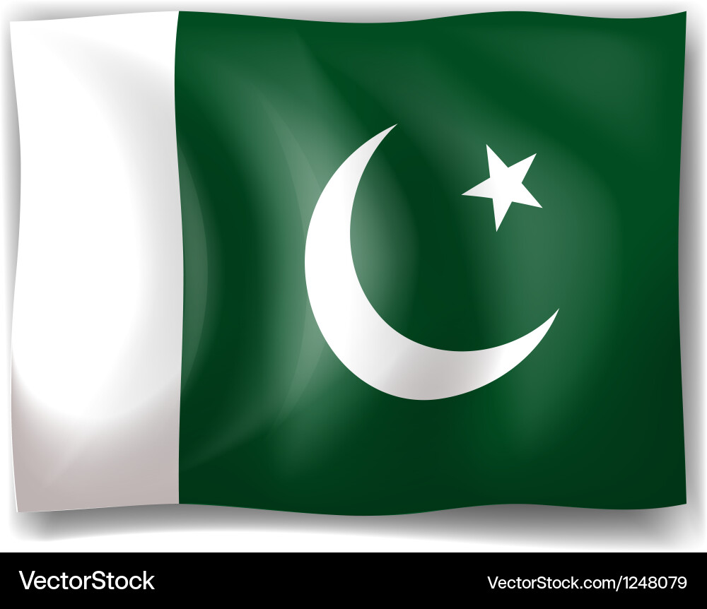 Flagge von Pakistan Lizenzfreies Vektorbild - VectorStock