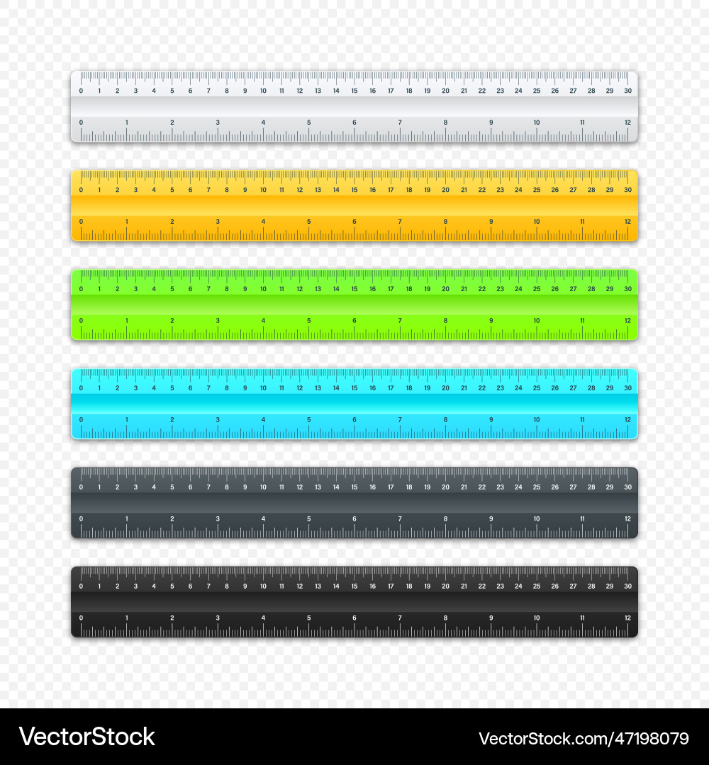 Realistic various plastic rulers with measurement Vector Image