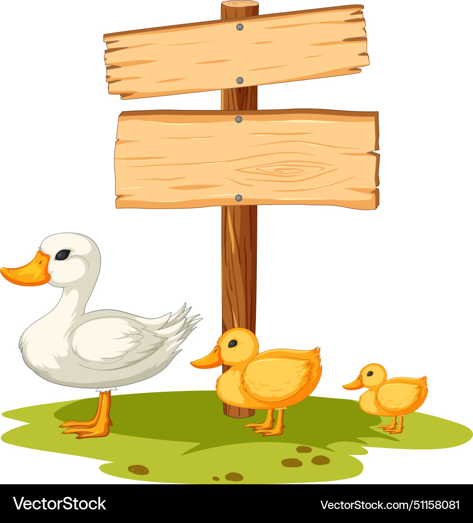 Ducks near a blank sign Royalty Free Vector Image