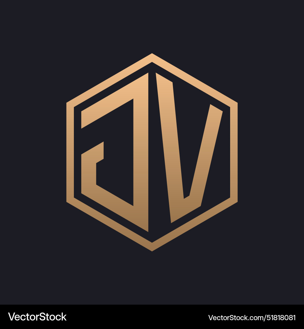 Elegant hexagon letter jv logo design initial Vector Image