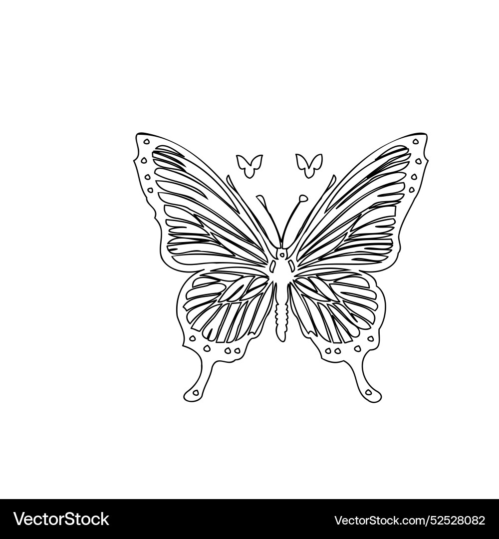 Butterfly animal outline sketch Royalty Free Vector Image