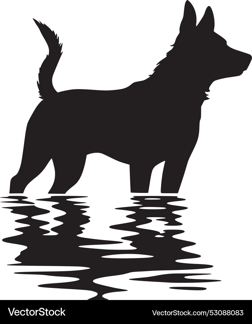 Australian kelpie - high quality logo ideal Vector Image