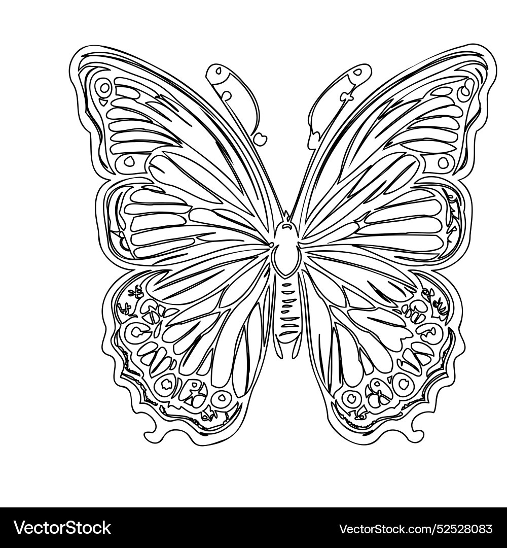 Butterfly animal outline sketch Royalty Free Vector Image