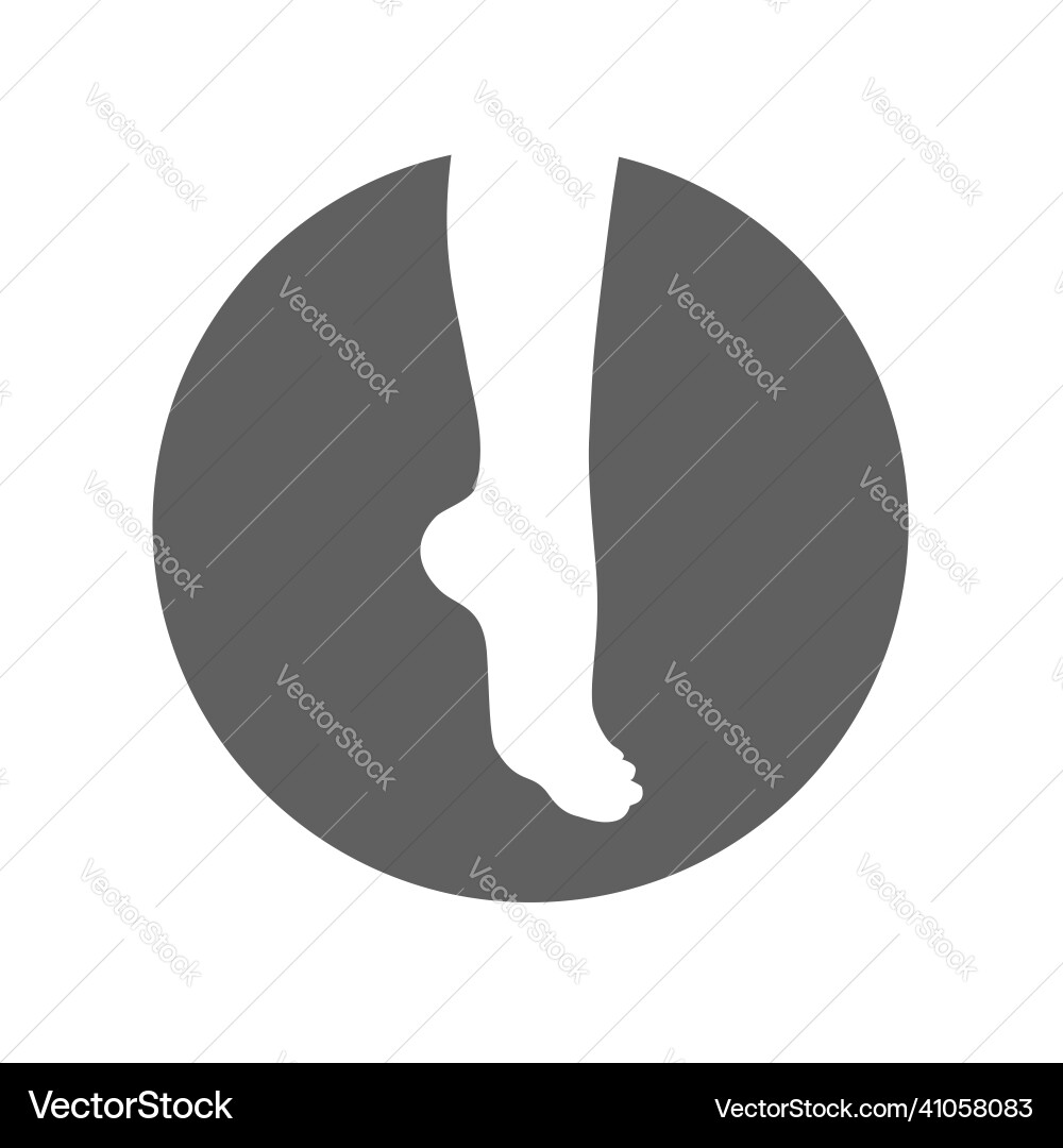 Woman leg Royalty Free Vector Image - VectorStock