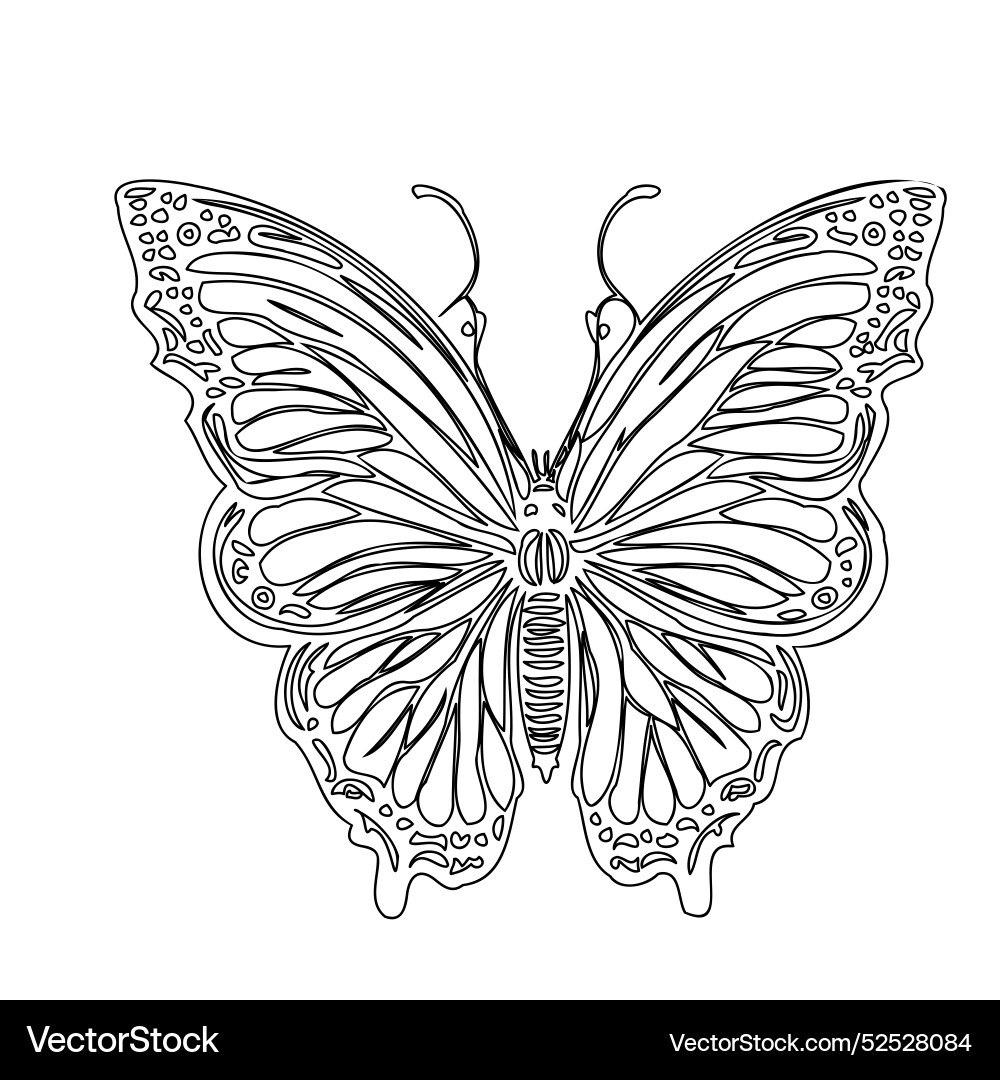 Butterfly animal outline sketch Royalty Free Vector Image