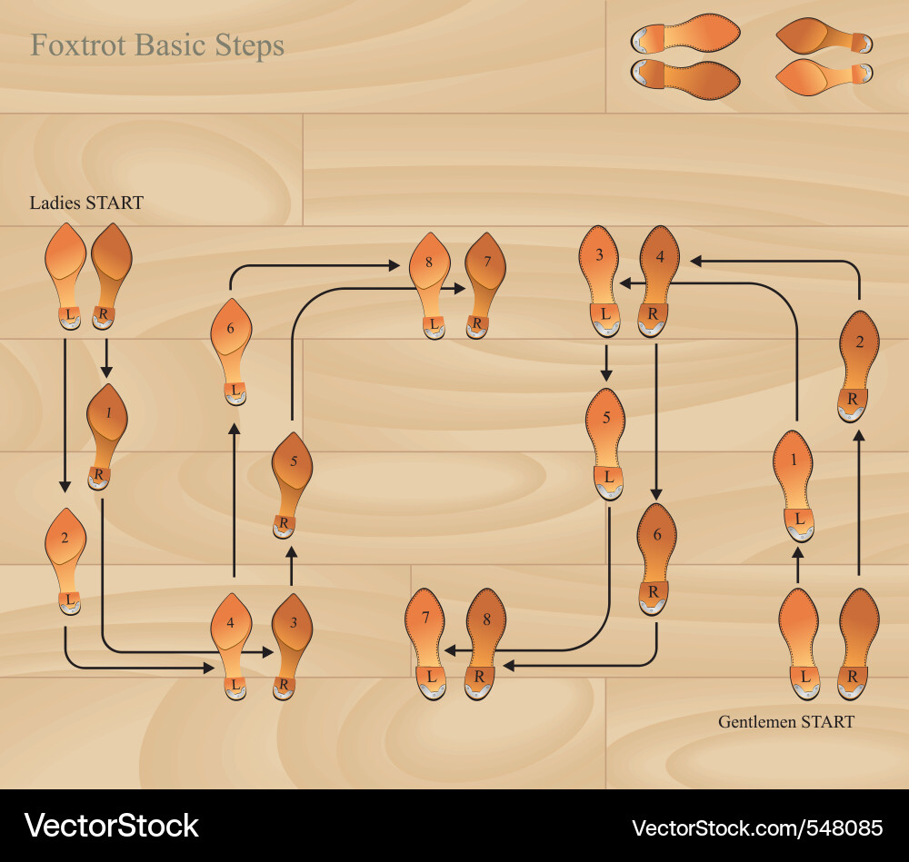 Foxtrot basic steps Royalty Free Vector Image - VectorStock