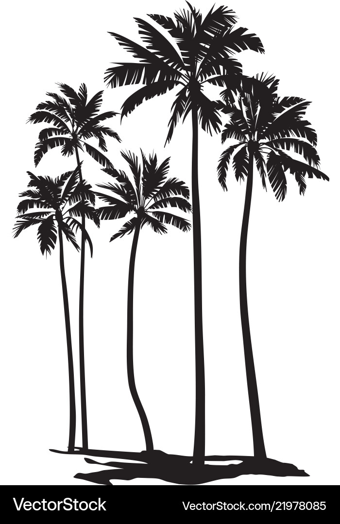 Palms Vector Images (over 370,000)
