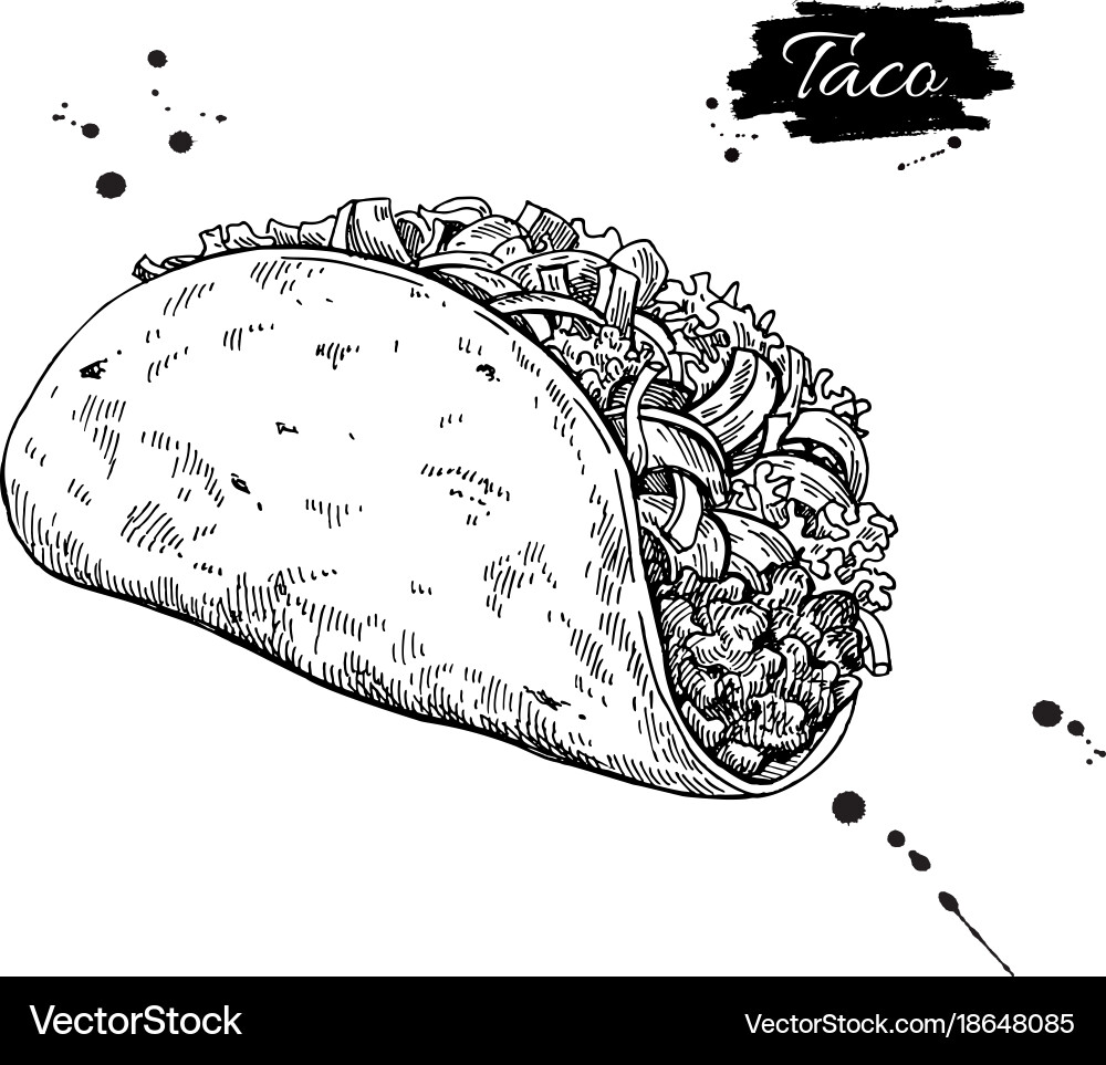 Taco drawing traditional mexican food Royalty Free Vector
