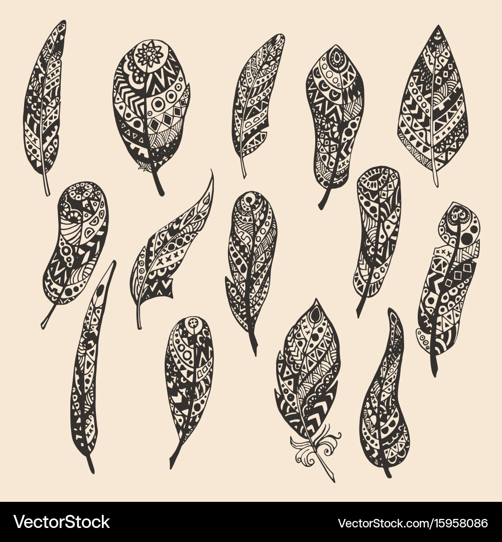 Hand Drawn Feather Set Royalty Free Vector Image