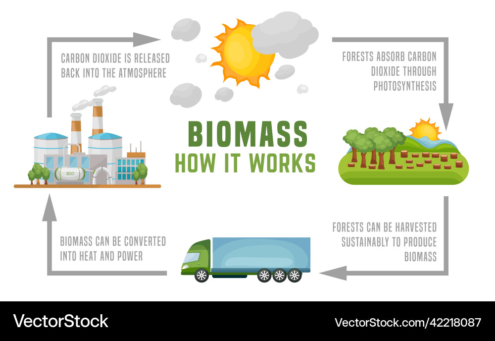 Biomass energy landscape poster with useful Vector Image