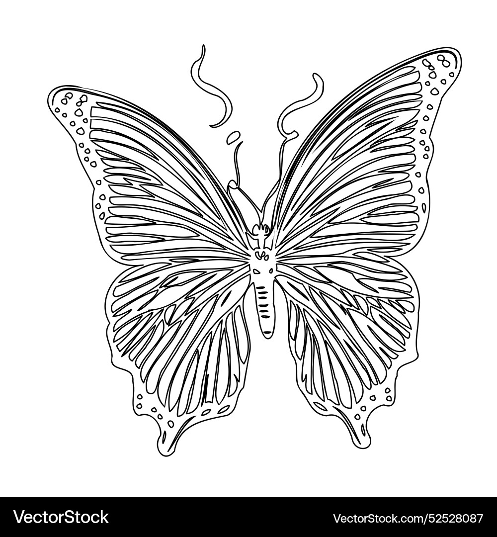 Butterfly animal outline sketch Royalty Free Vector Image
