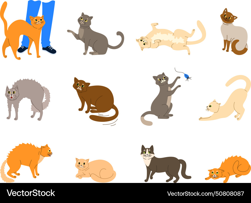 Cats emotions body language set Royalty Free Vector Image