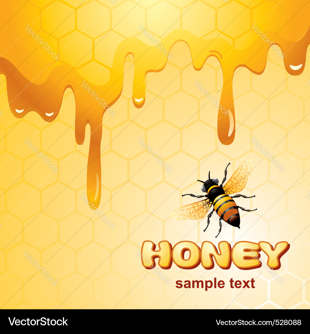 Bee on honeycomb Royalty Free Vector Image - VectorStock