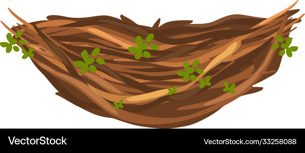 Isolated empty bird nest on white background Vector Image