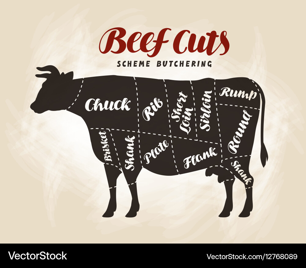 Beef cuts diagram for design Royalty Free Vector Image