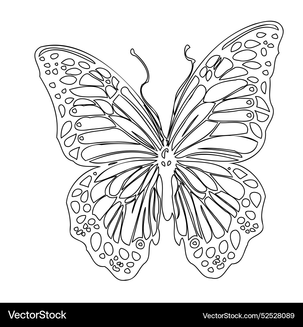 Butterfly animal outline sketch Royalty Free Vector Image