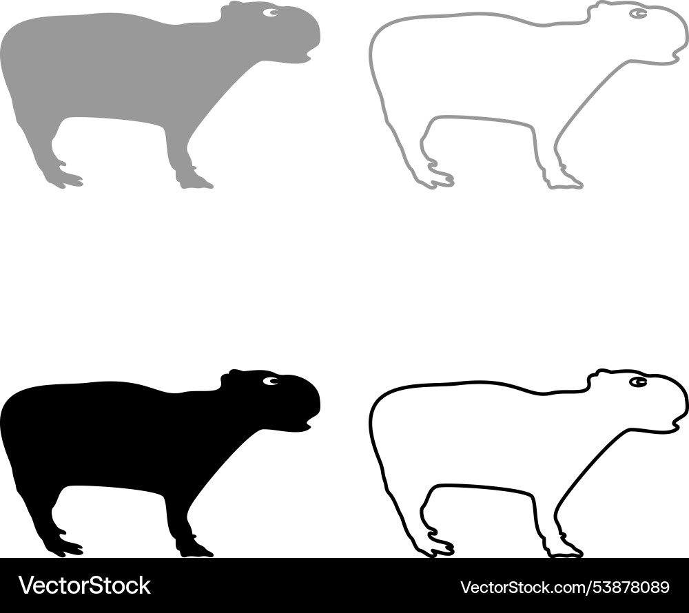 Capybara set icon grey black color image solid Vector Image