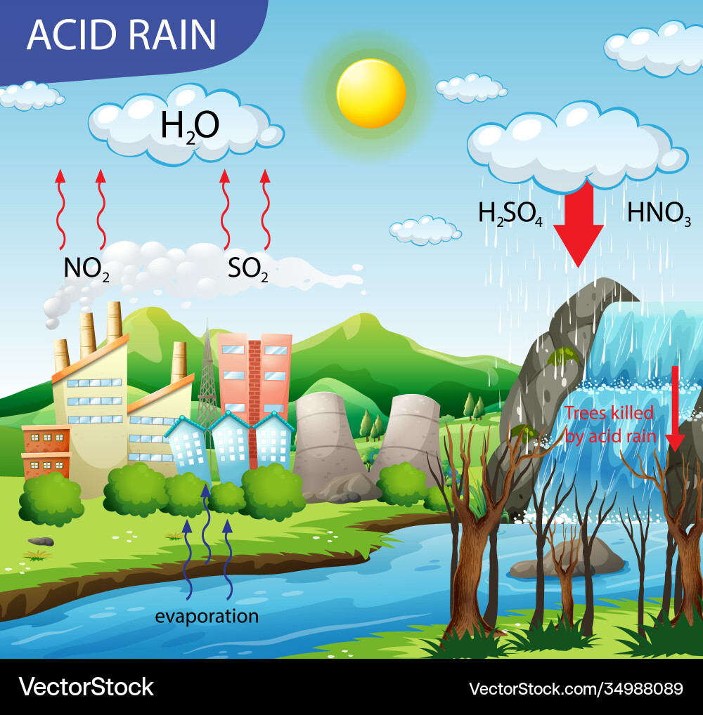 Diagram showing acid rain pathway Royalty Free Vector Image
