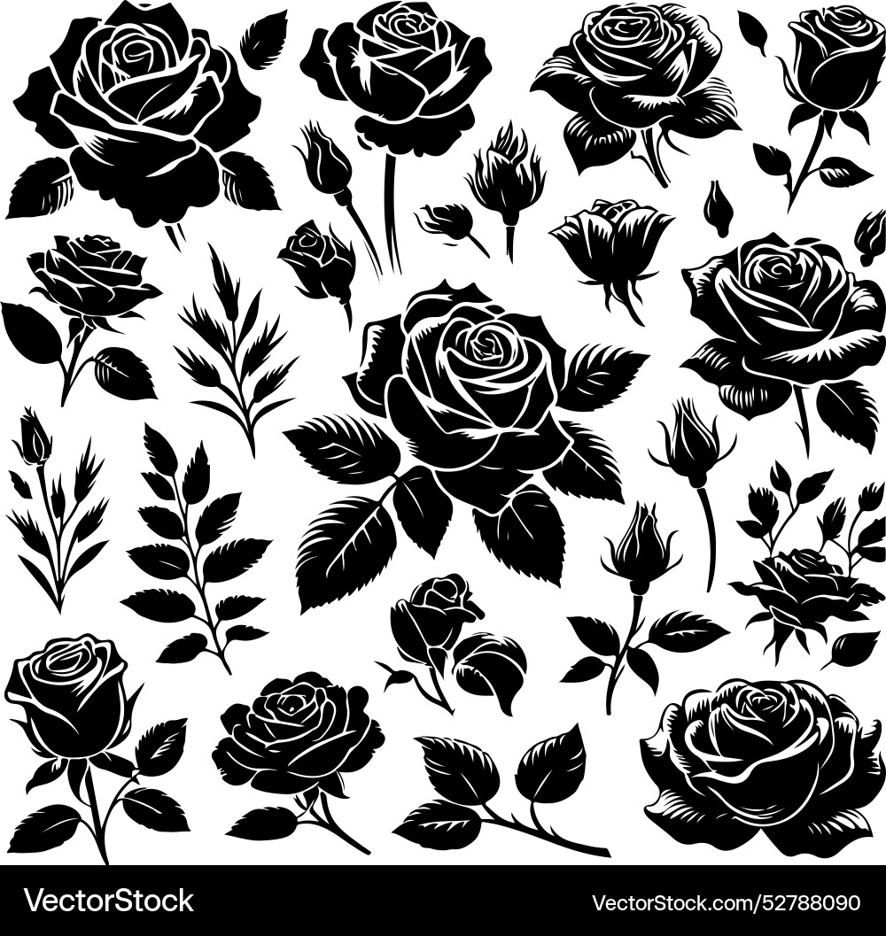 Beautiful rose silhouette Royalty Free Vector Image