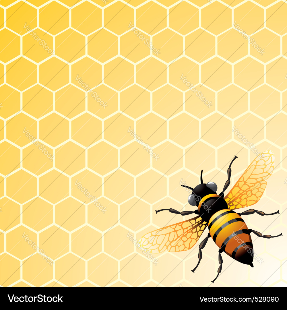 Bee on honeycomb Royalty Free Vector Image - VectorStock