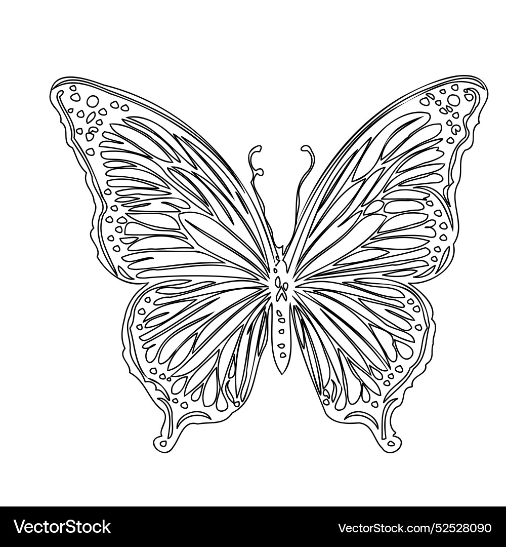 Butterfly animal outline sketch Royalty Free Vector Image