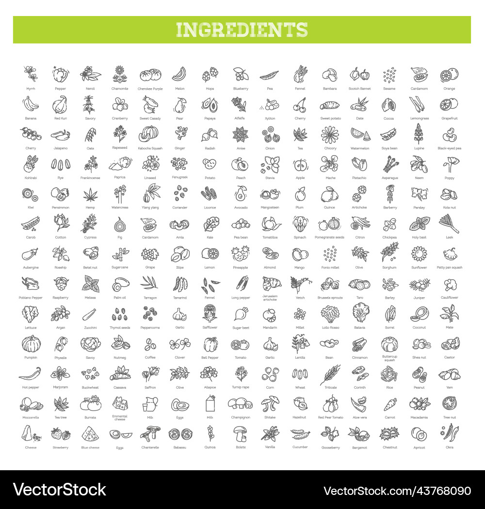 Carrot Seed Vector Images (over 2,800)