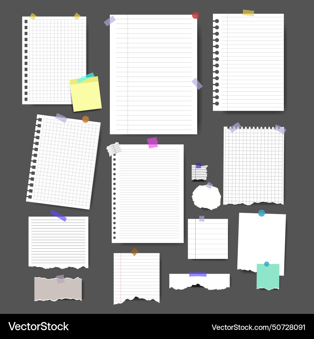 Collection of torn paper Royalty Free Vector Image