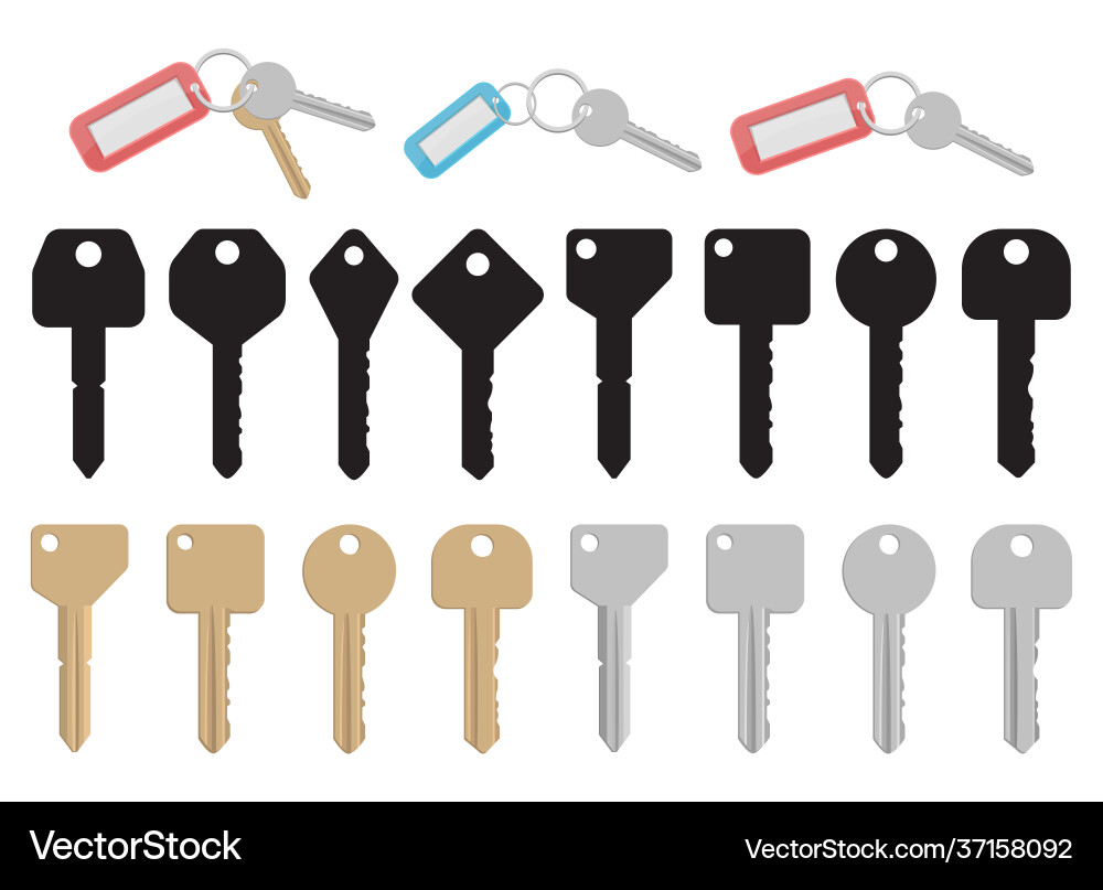 Door key design isolated on white background Vector Image