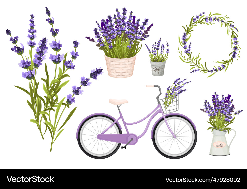 Lavender Flower Icon Set Royalty Free Vector Image