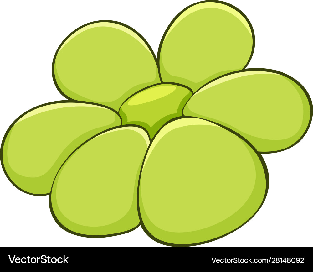 Single flower in green color Royalty Free Vector Image