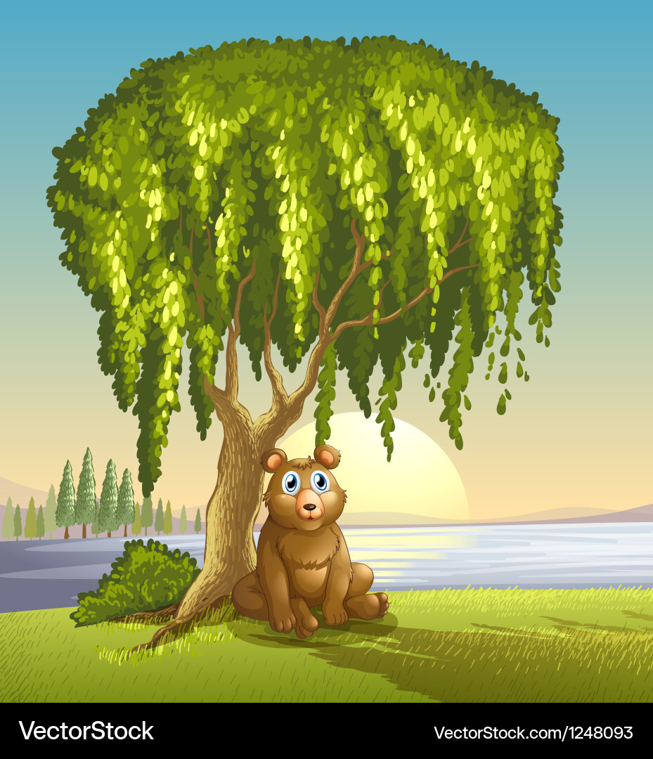 A bear under big tree Royalty Free Vector Image