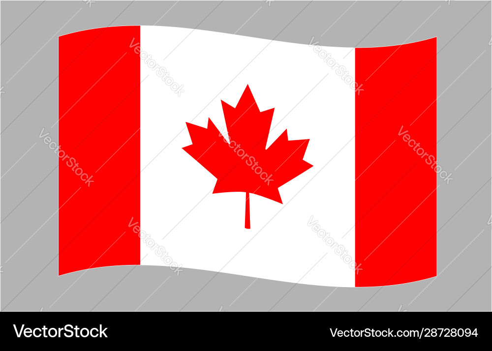 Canada flag canvas wave pattern Royalty Free Vector Image