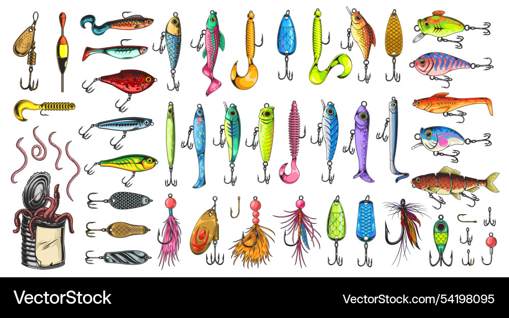 Vibrant fishing lures and baits displayed Vector Image