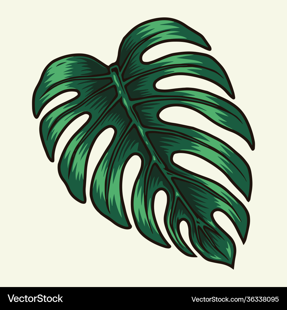 Vintage Monstera Leaf Royalty Free Vector Image