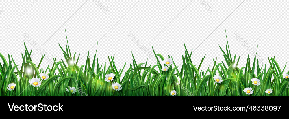 Grass Overlay Vector Images (over 880)