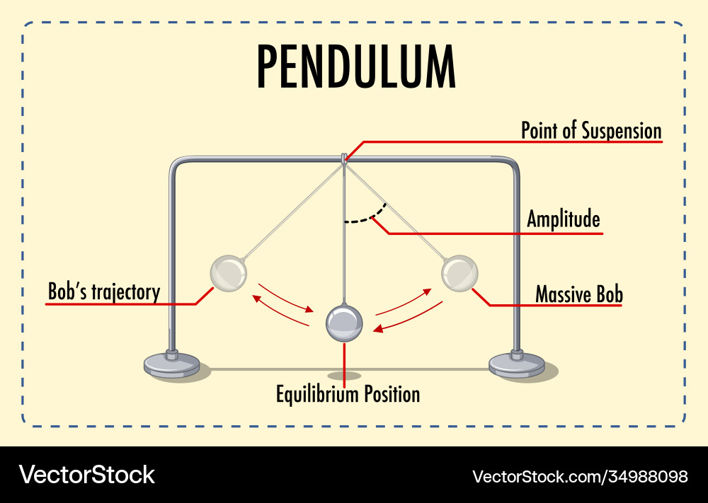 Pendulums movement infographic for physics Vector Image