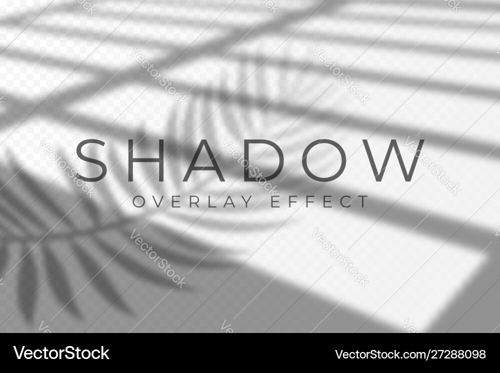 Shadow overlay effect and light Royalty Free Vector Image