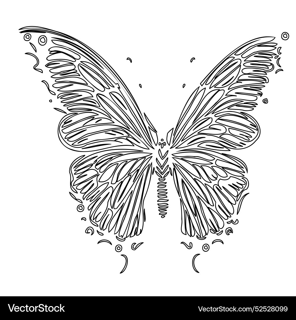 Butterfly animal outline sketch Royalty Free Vector Image