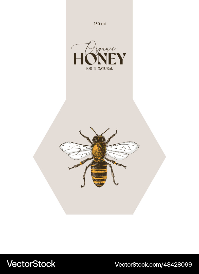 Label template with hand drawn honey bee Vector Image