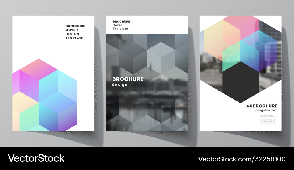 Layout a4 format cover mockups design Royalty Free Vector