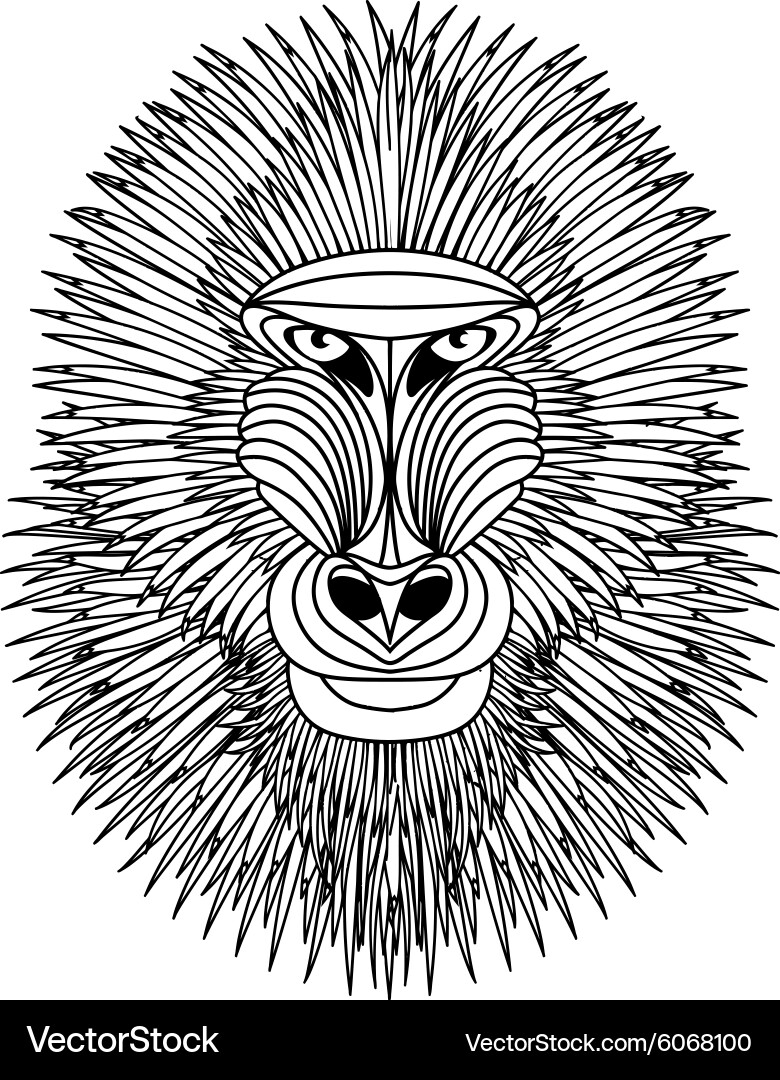 Mandrill Portrait Royalty Free Vector Image - VectorStock