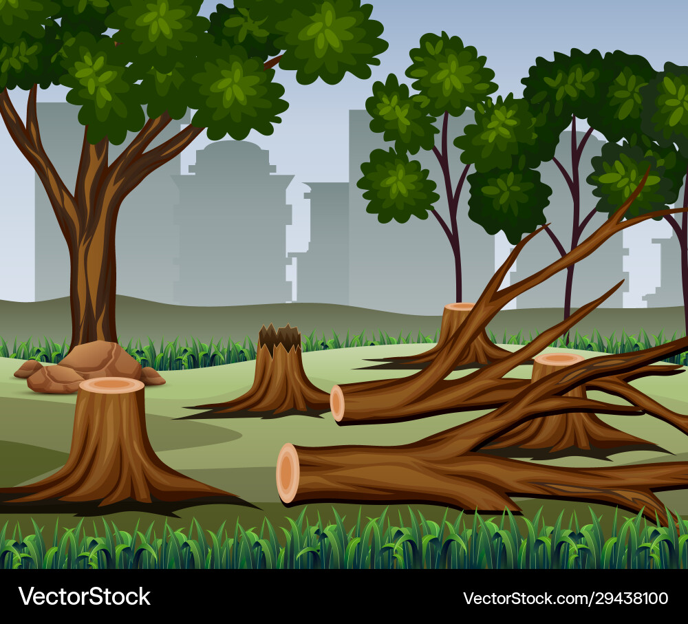 Tree trunk was cut with many trees on forest b Vector Image