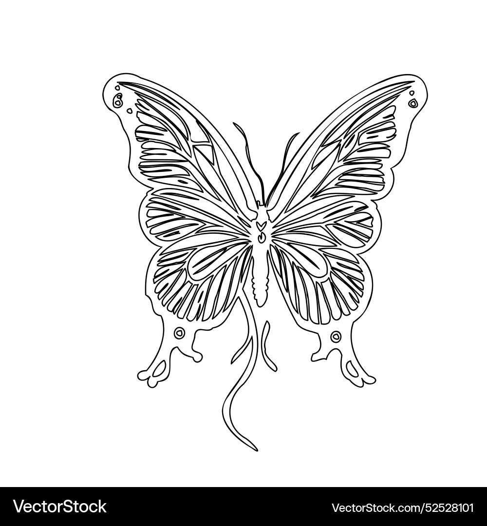Butterfly animal outline sketch Royalty Free Vector Image
