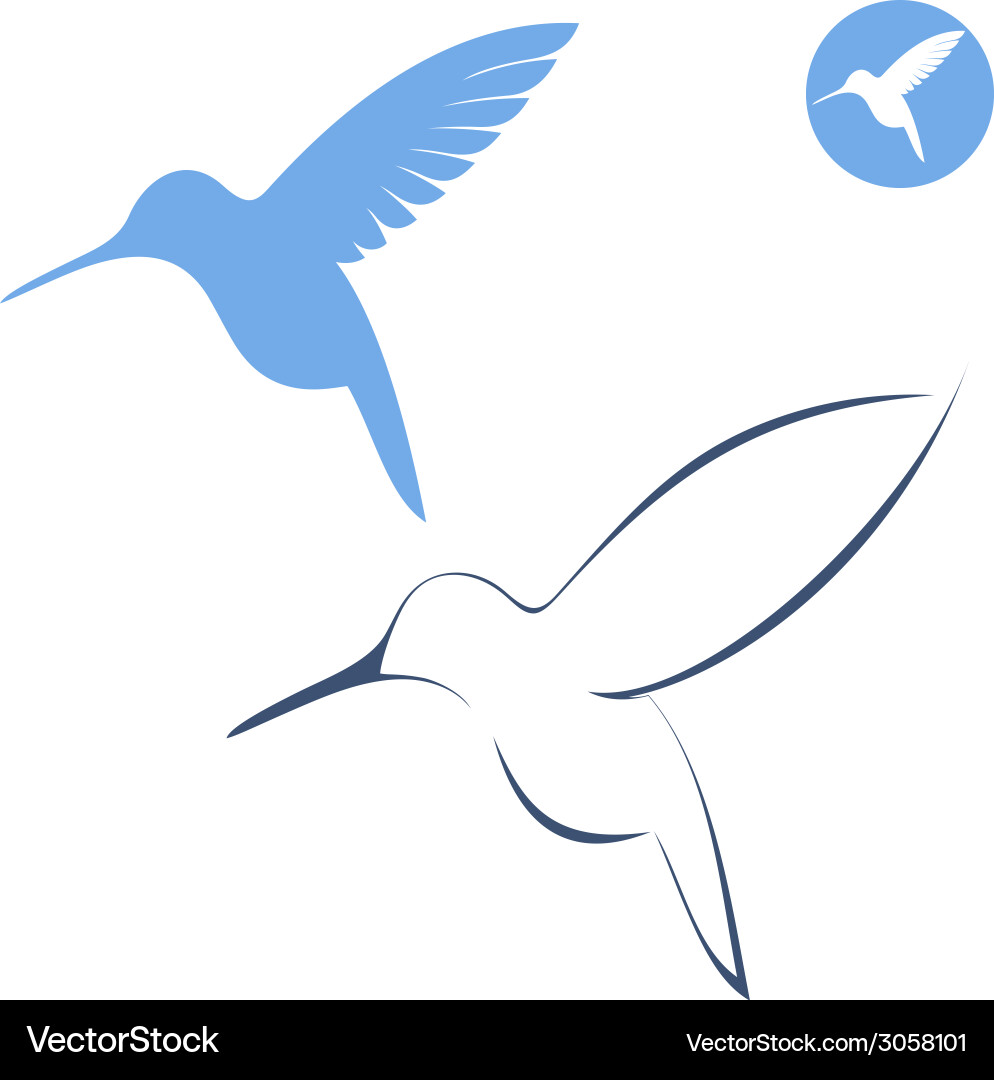 Hummingbird Royalty Free Vector Image - VectorStock