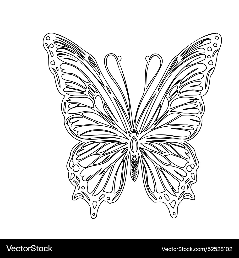 Butterfly animal outline sketch Royalty Free Vector Image