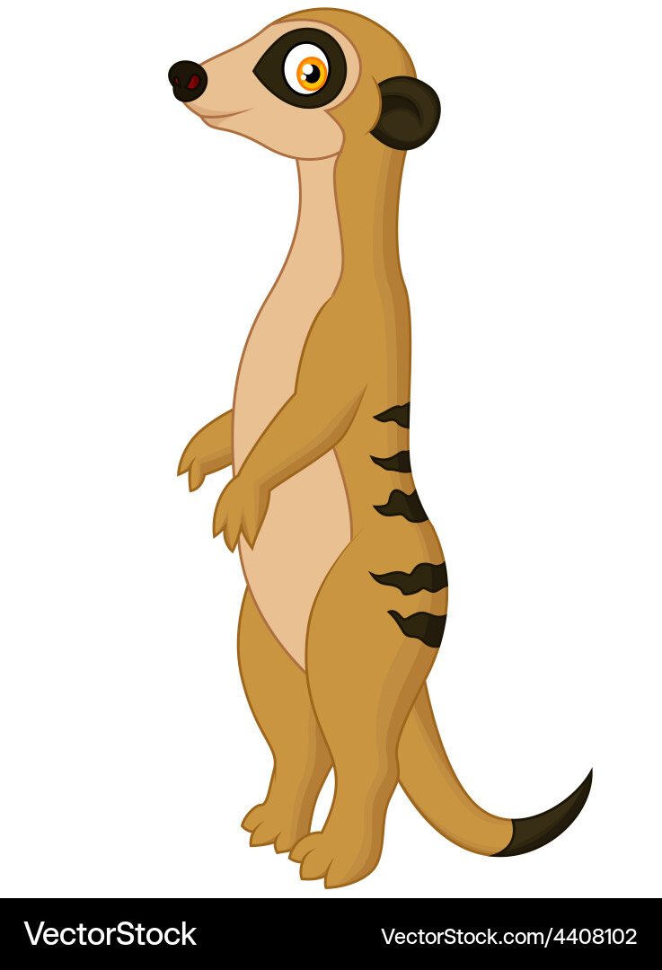 Cute meerkat cartoon Royalty Free Vector Image