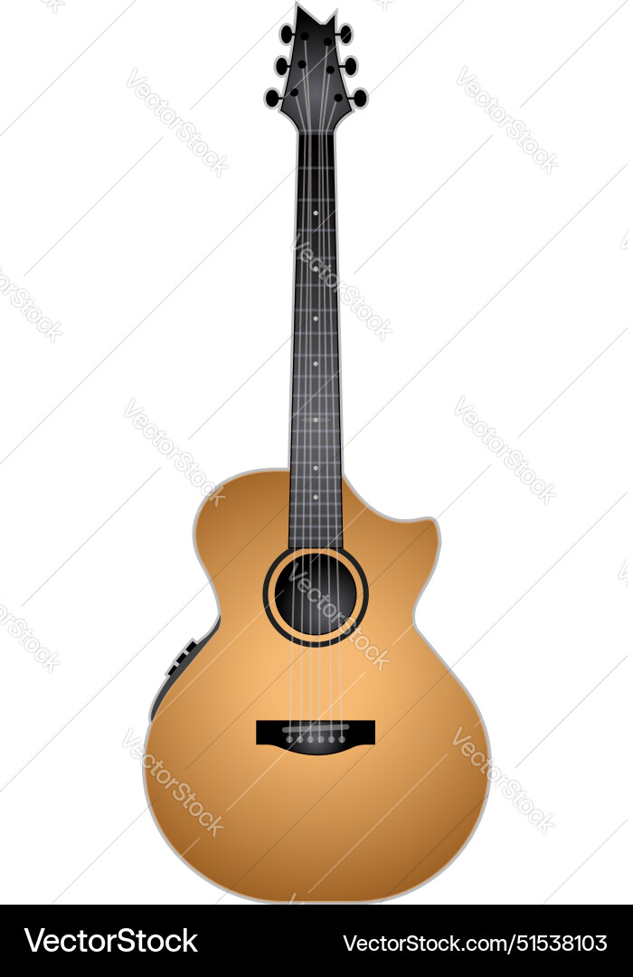 Acoustic guitar isolated on white background Vector Image