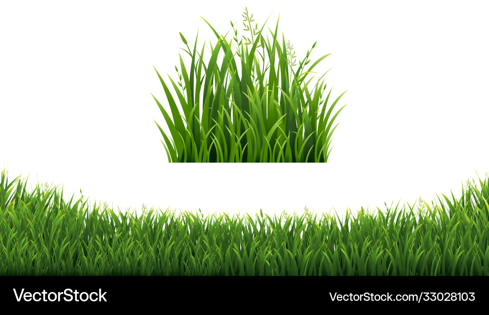 Green grass frames set in isolated white Vector Image