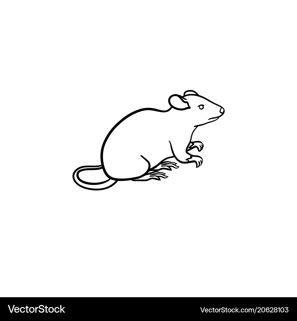 Lab rat hand drawn sketch icon Royalty Free Vector Image