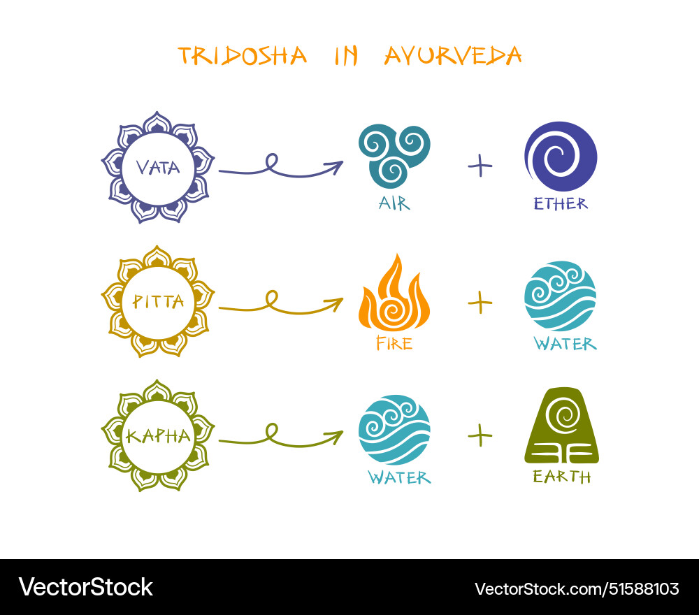 Three doshas in ayurveda poster Royalty Free Vector Image